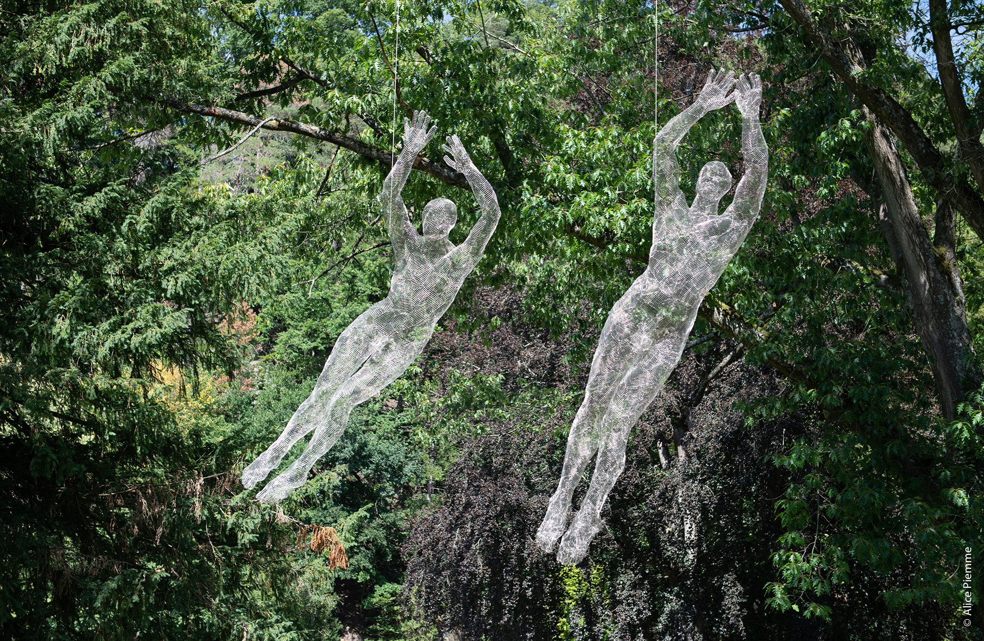 Royal Festival - Royal Festival